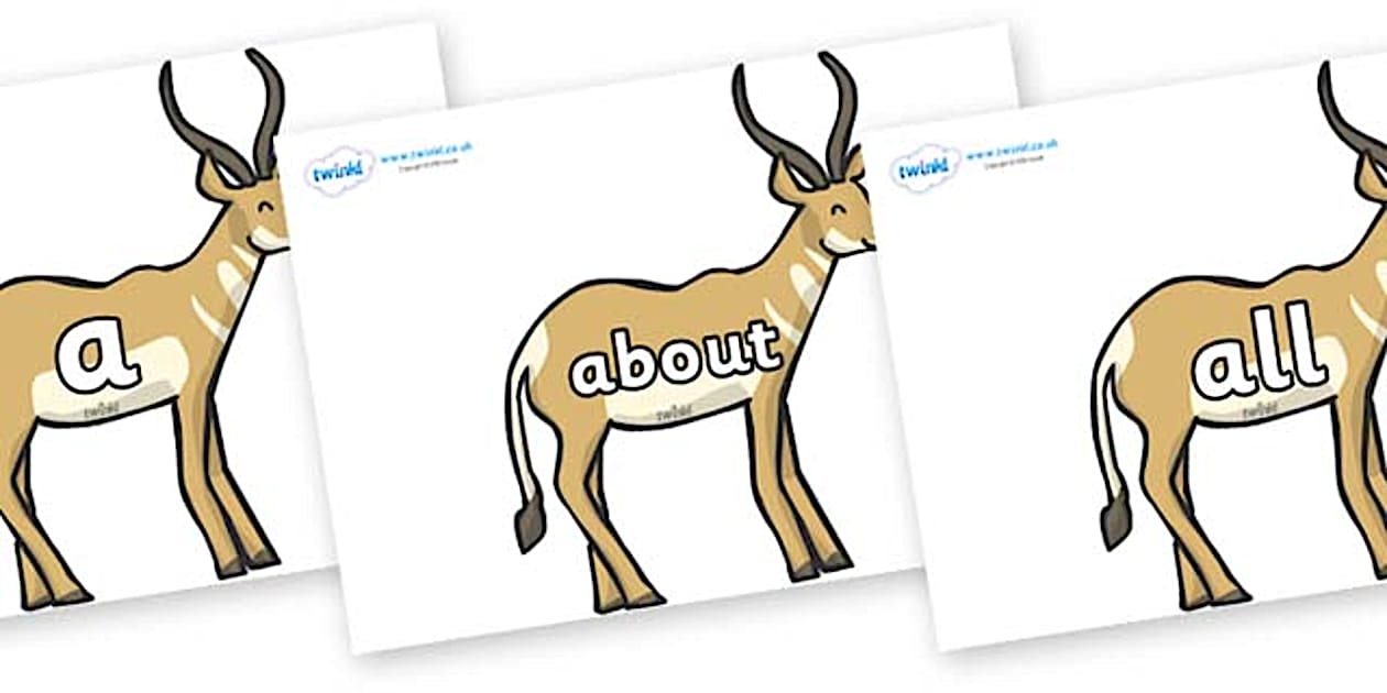 Cursive 100 High Frequency Words on Antelopes (teacher made)