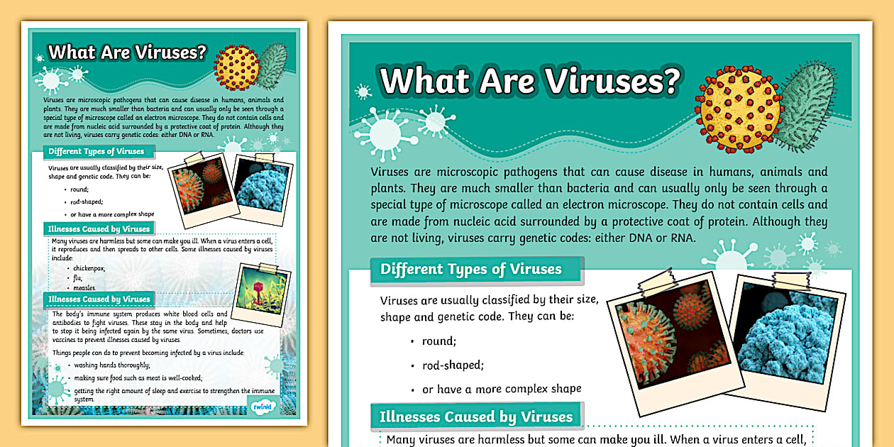 What Are Viruses? Poster - KS2 (l'enseignant a fait)