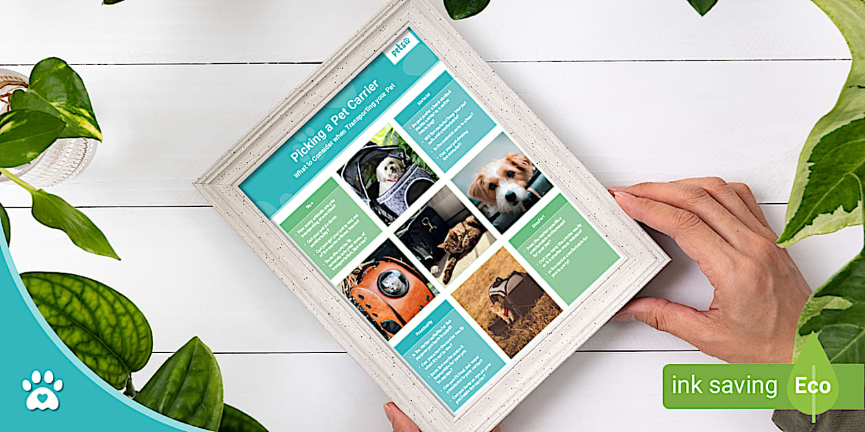 Picking a Pet Carrier - Information Sheet - Twinkl Pets