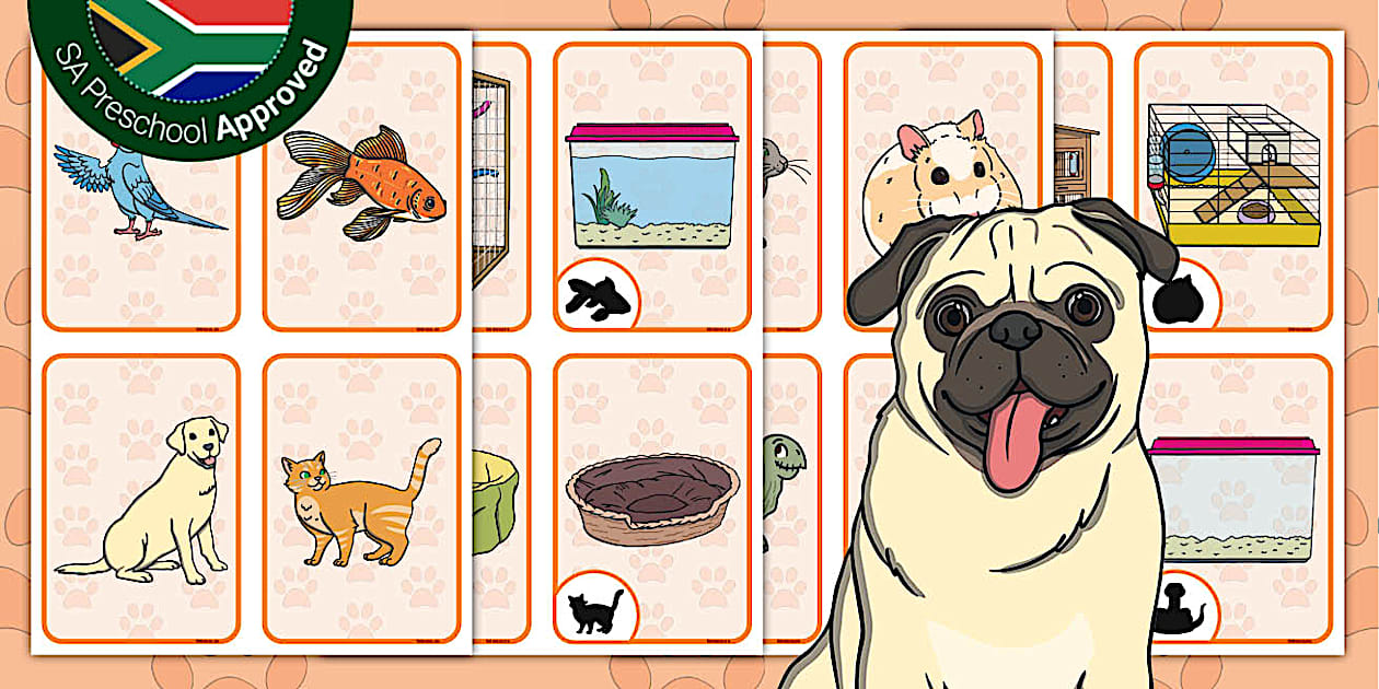 Pets and Their Homes: Pairs Matching Cards (teacher made)