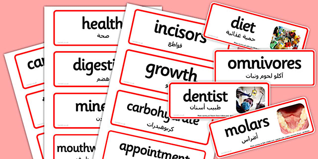 Teeth and Nutrition Word Cards Arabic Translation - Twinkl