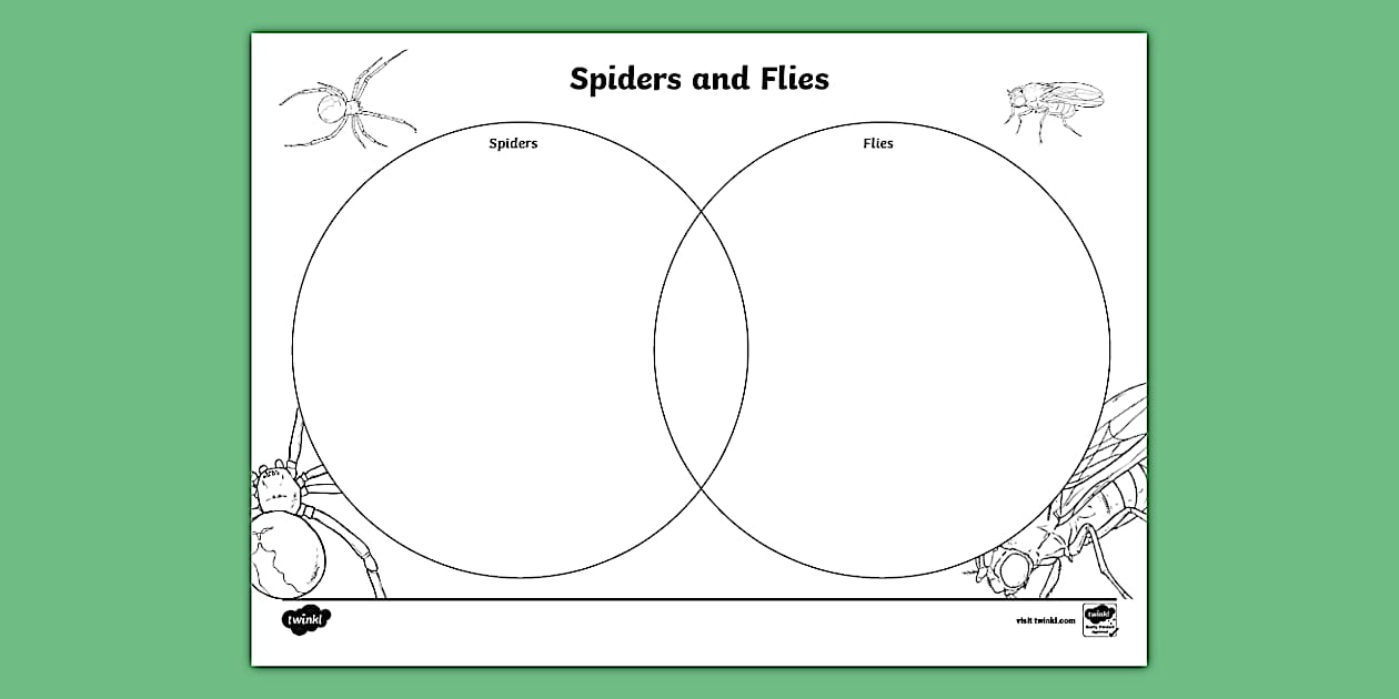 Spider and Flies Venn Diagram (teacher made) - Twinkl