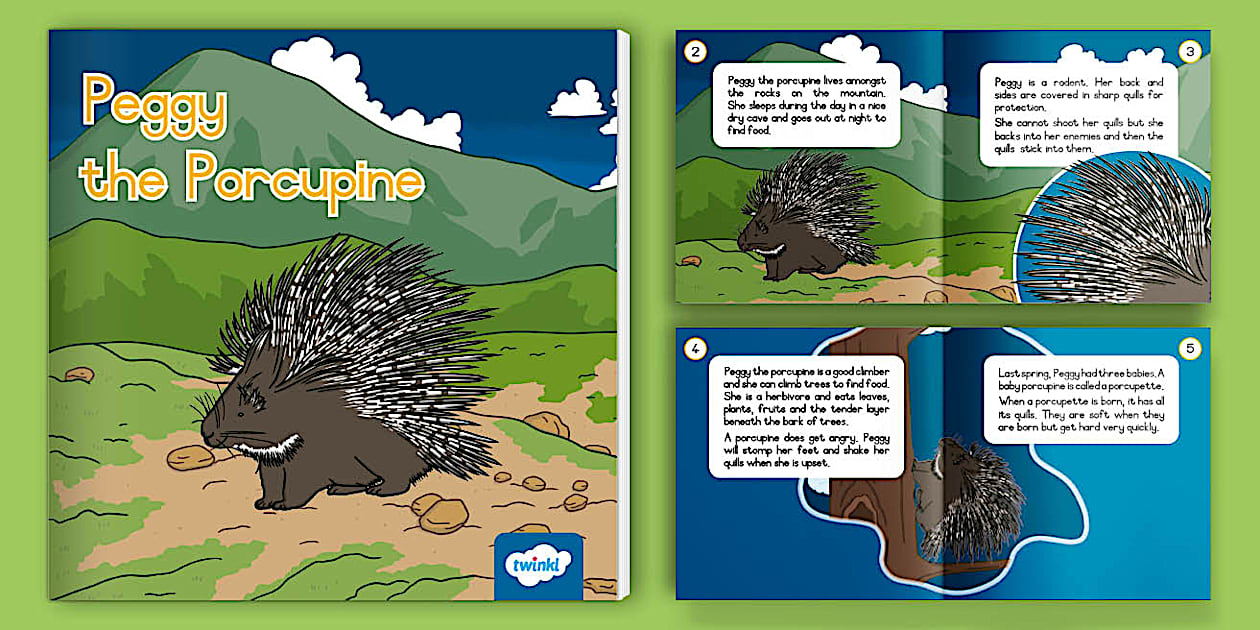 Picture Story - Peggy the Porcupine eBook (Teacher-Made)