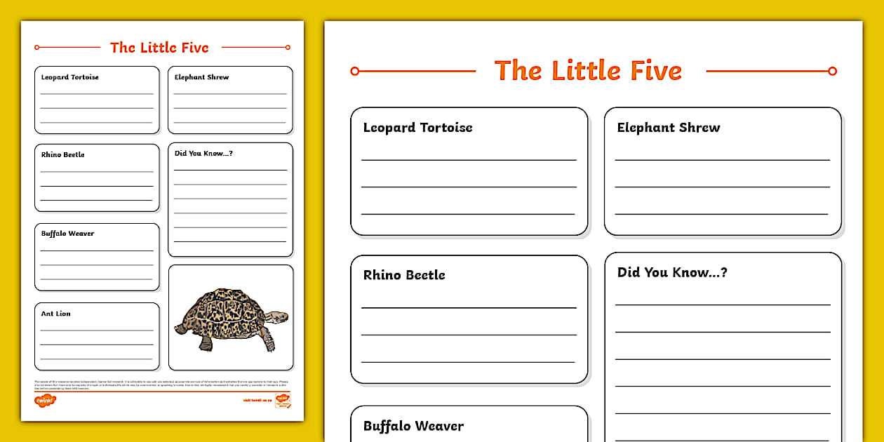 The Little Five Fact File Template (teacher made) - Twinkl