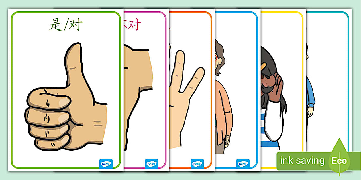 课堂肢体信息 展示海报 (Hecho por educadores)