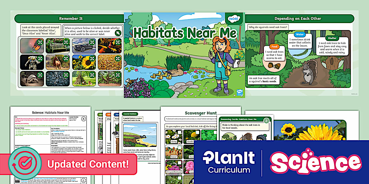 Woodland Habitats Year 2 | Woodland Habitats Lesson | Twinkl