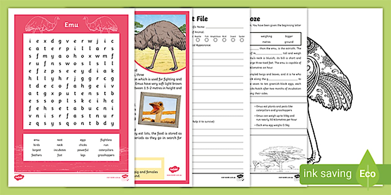 Emu Resource Pack (teacher made) - Twinkl