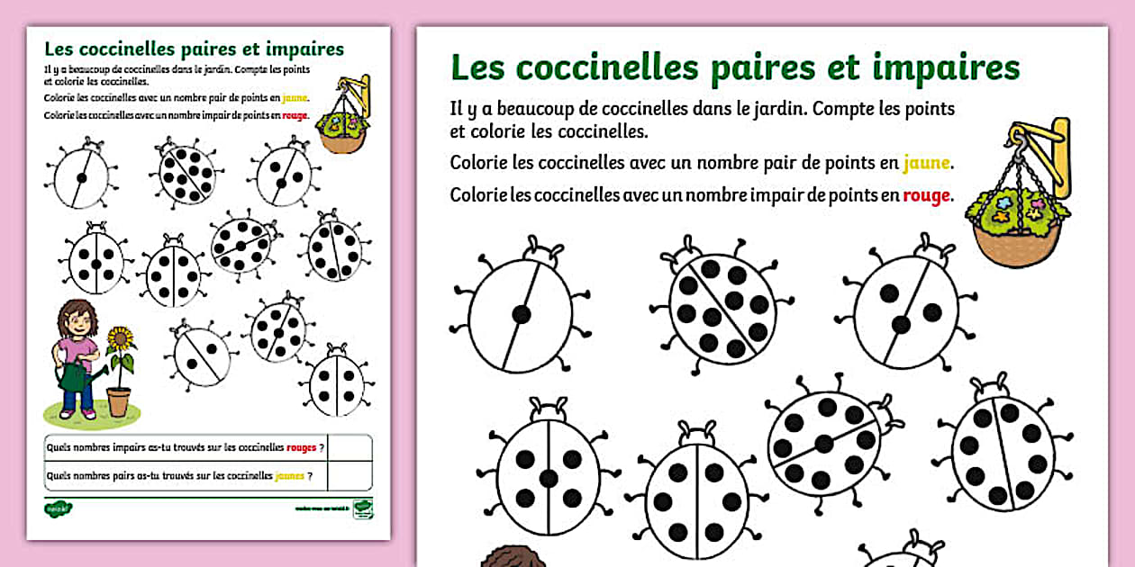 Activité de coloriage : Les coccinelles et les nombres pairs et impairs