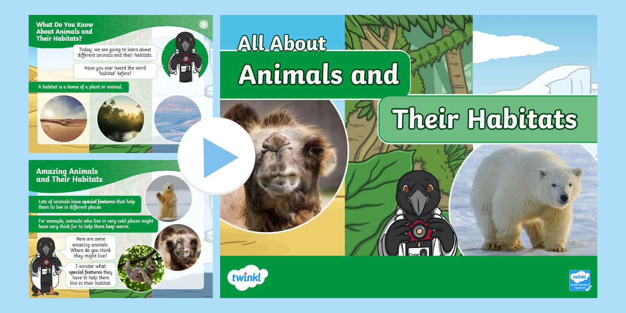 All About Animals and Their Habitats PowerPoint | EYFS