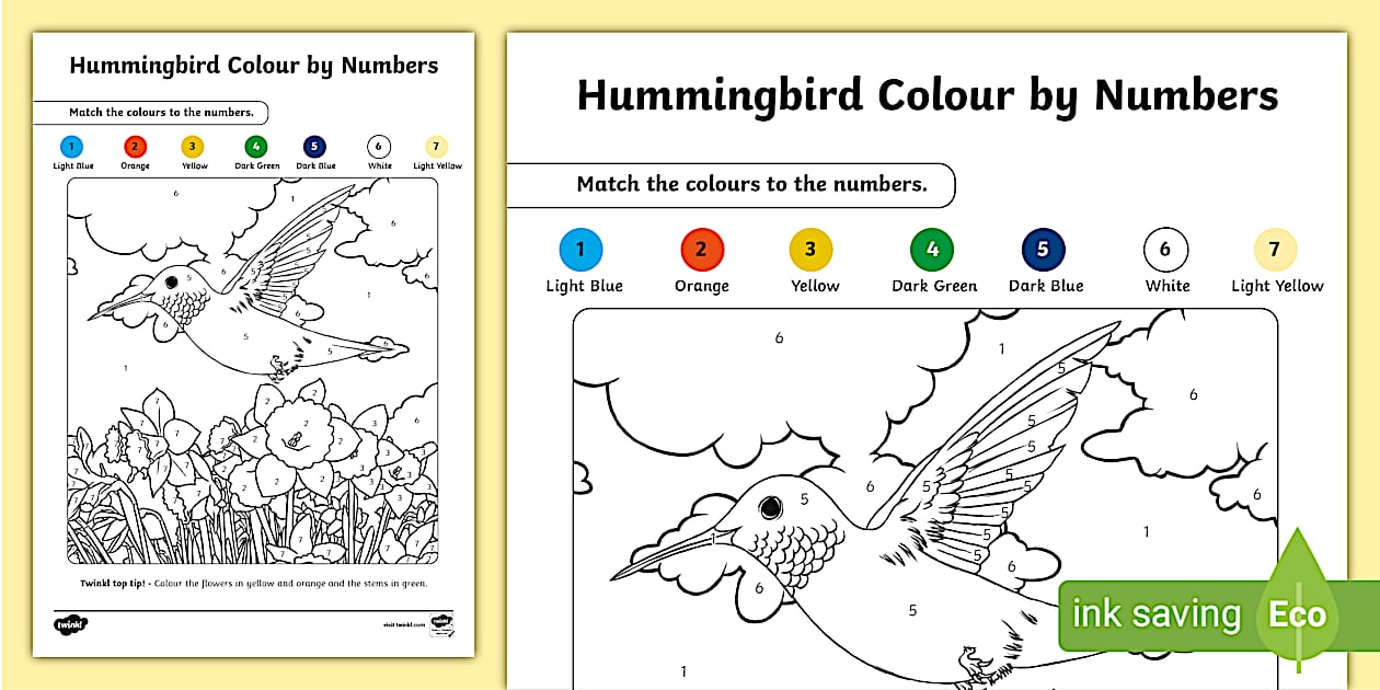 Hummingbird Colour-by-Number Worksheet | Twinkl | KS1