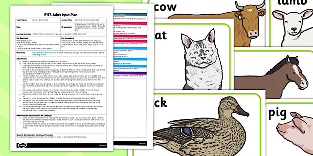 Matching Animal Sounds EYFS Adult Input Plan and Resource Pack