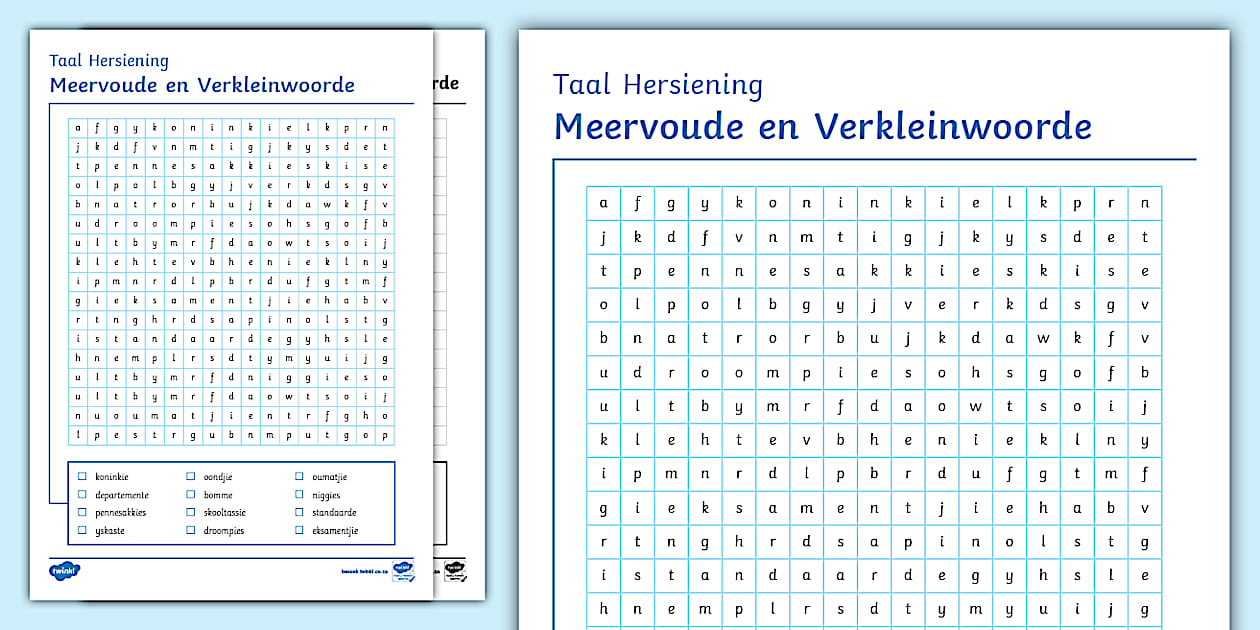 Taal Hersiening - Meervoude en Verkleinwoorde Woordsoek