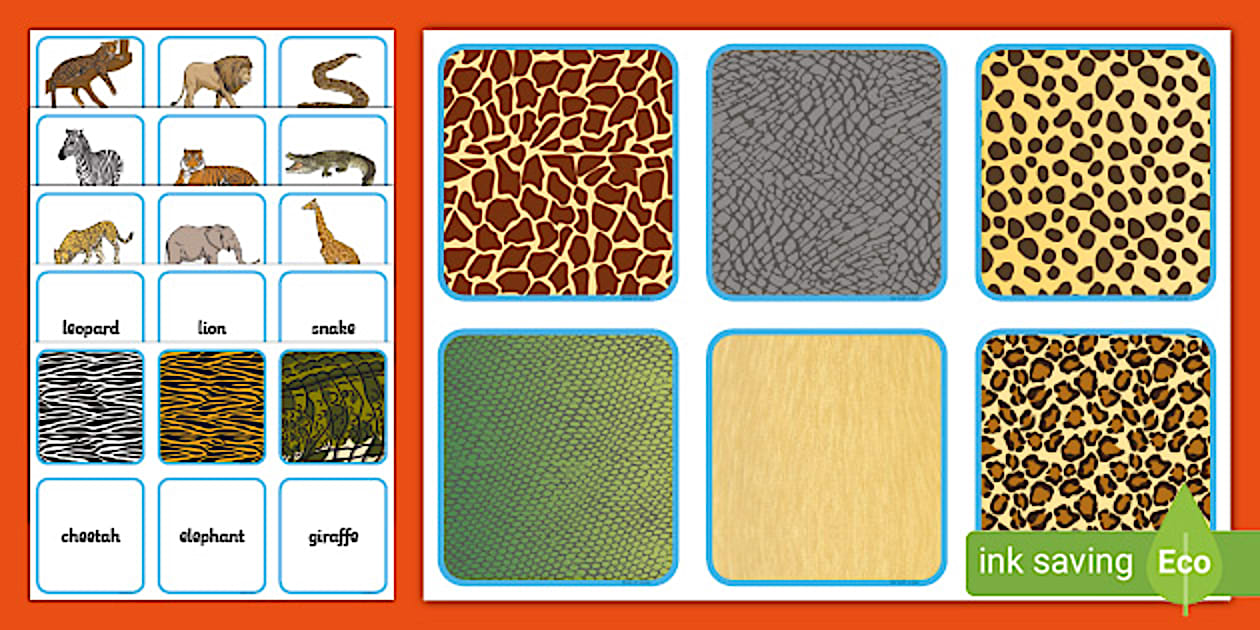 Editable Safari Animal Pattern Matching Cards - Twinkl