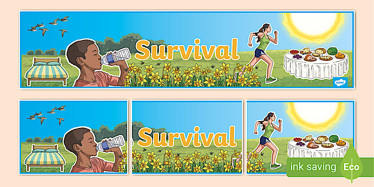 Survival Display Banner (teacher made) - Twinkl