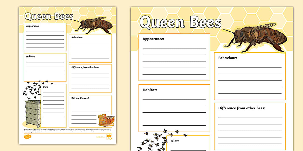 Queen Bees Fact File Template (teacher made) - Twinkl