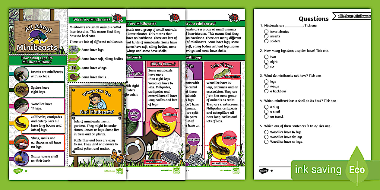 KS1 All About Minibeasts Differentiated Reading Comprehension Activity