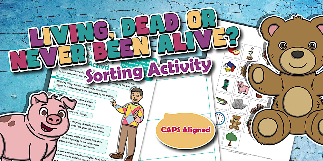 Foundation Phase Life Skills (teacher made) - Twinkl