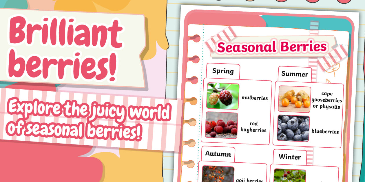 * NEW * Seasonal Berries Display Poster - Twinkl