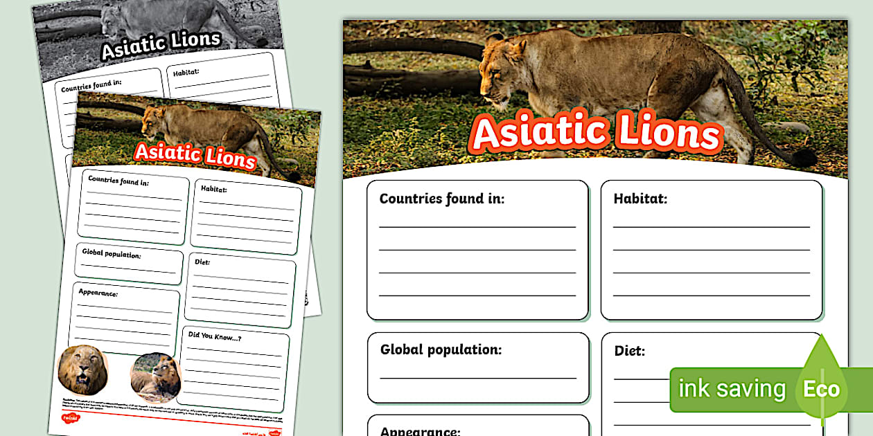 Asiatic Lion Fact File Template (Teacher-Made) - Twinkl