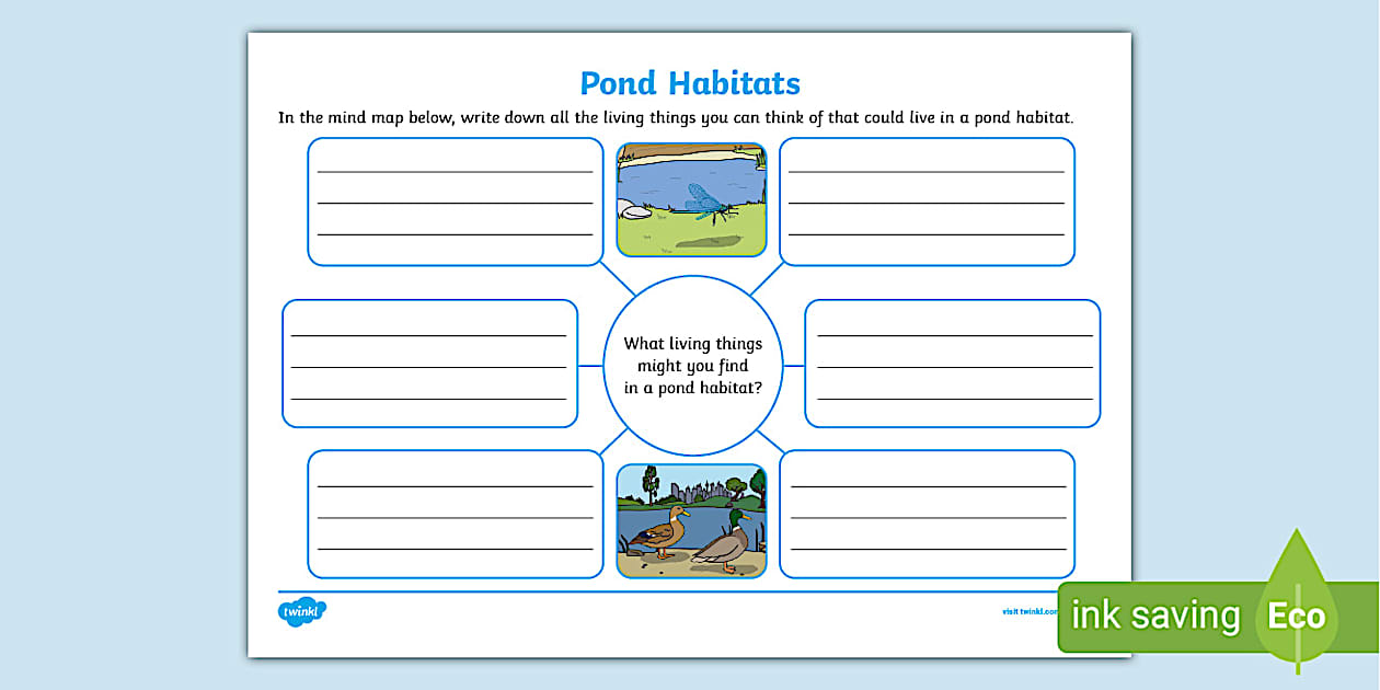 Pond Habitats Mind Map (teacher made) - Twinkl