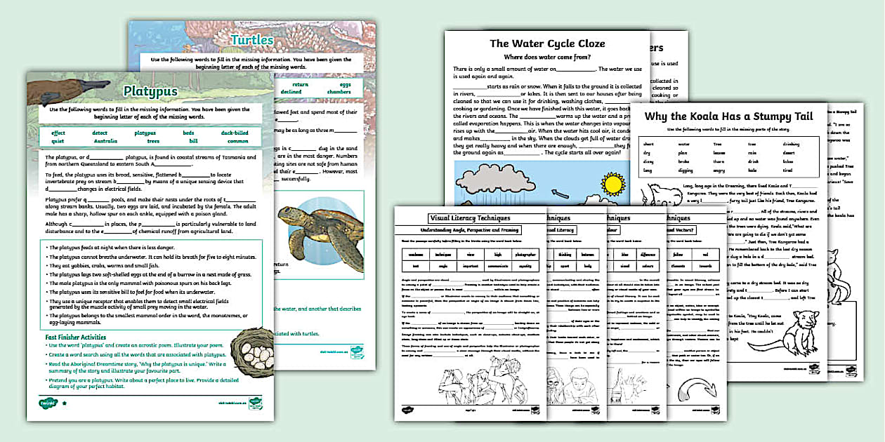 Vocabulary Cloze Multiple Choice Pack - Primary Resources