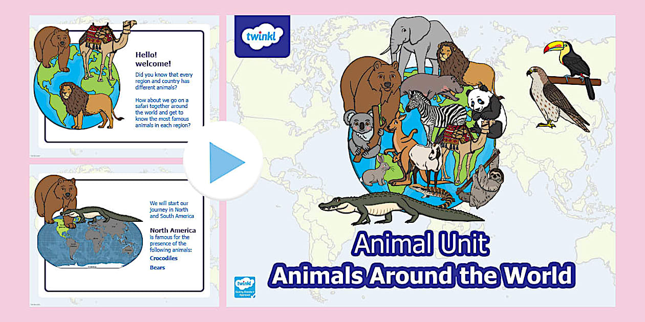 Animal Unit - Animals Around the World - Twinkl