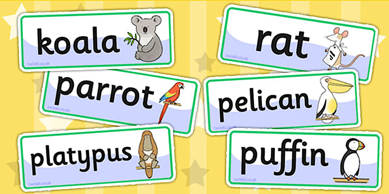 Cursive Word Cards to Support Teaching on The Great Pet Sale