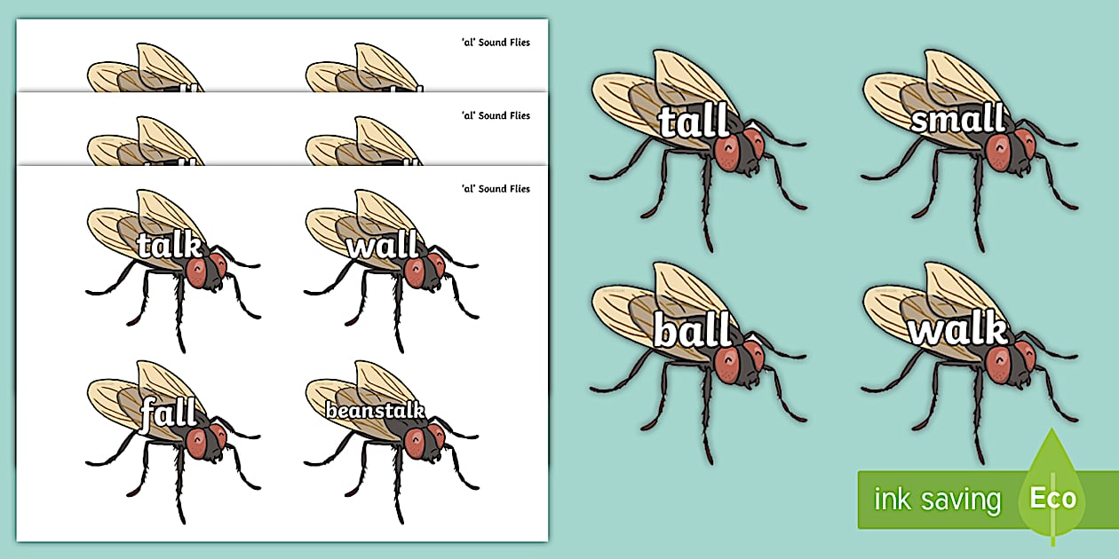 Editable 'al' Sound Word Flies Cards (l'enseignant a fait)