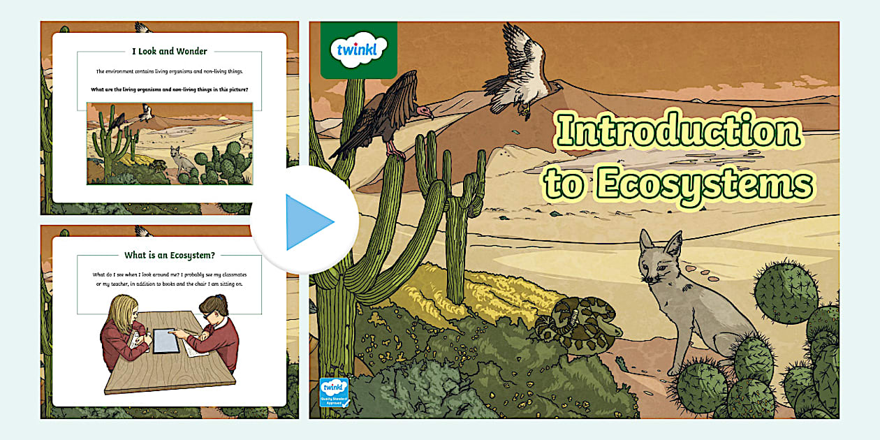 Introduction to Ecosystems PowerPoint (teacher made)