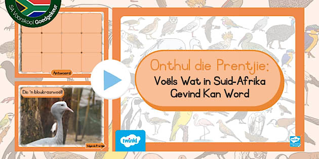 Voëls van Suider-Afrika: Onthul die Prentjie PowerPoint