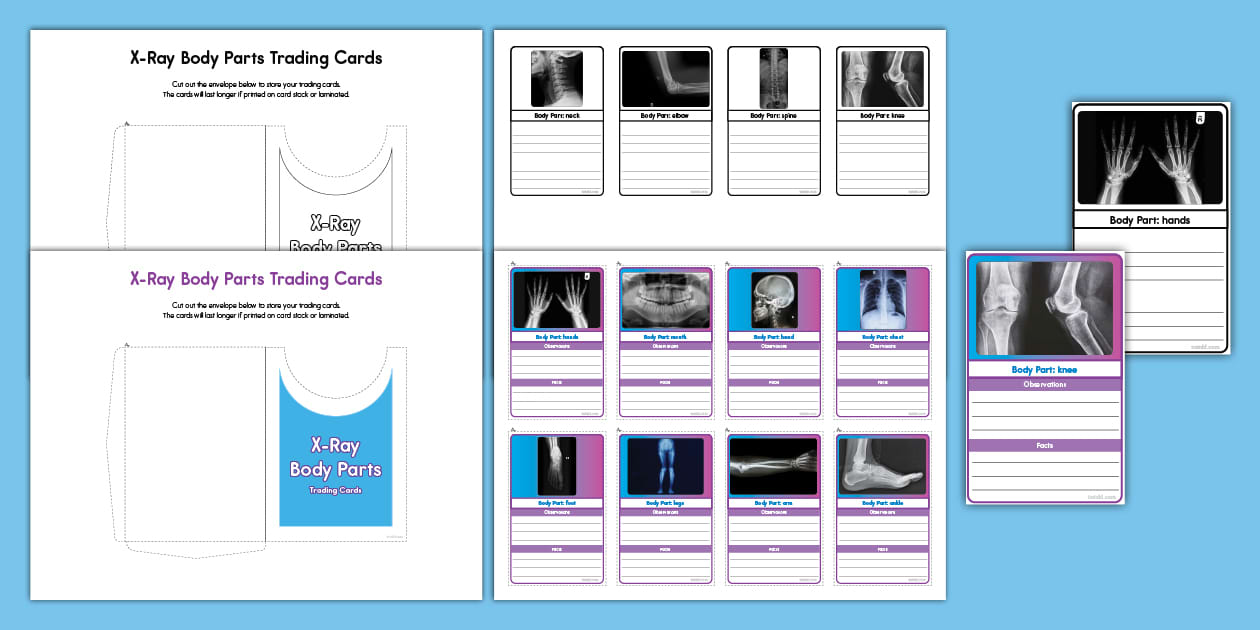 X-Ray Body Parts Trading Cards for K-2nd Grade - Twinkl