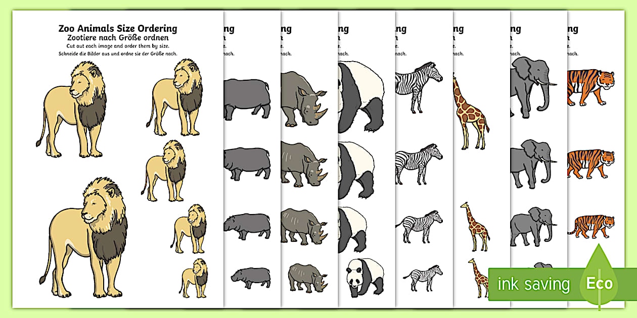 Zoo Animals Size Ordering English/German (teacher made)