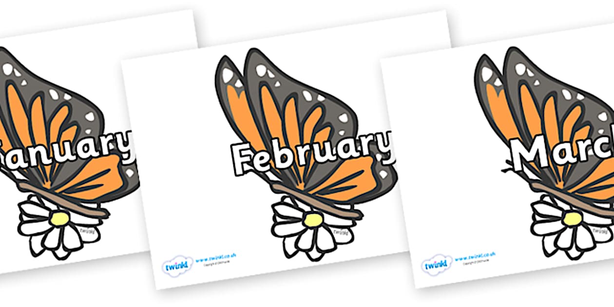 Months of the Year on Butterflies (teacher made) - Twinkl