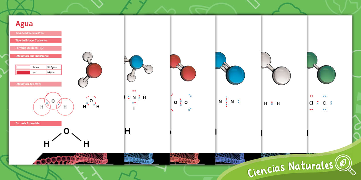 Póster | Moléculas | Química | Átomo | Lewis | Enlaces