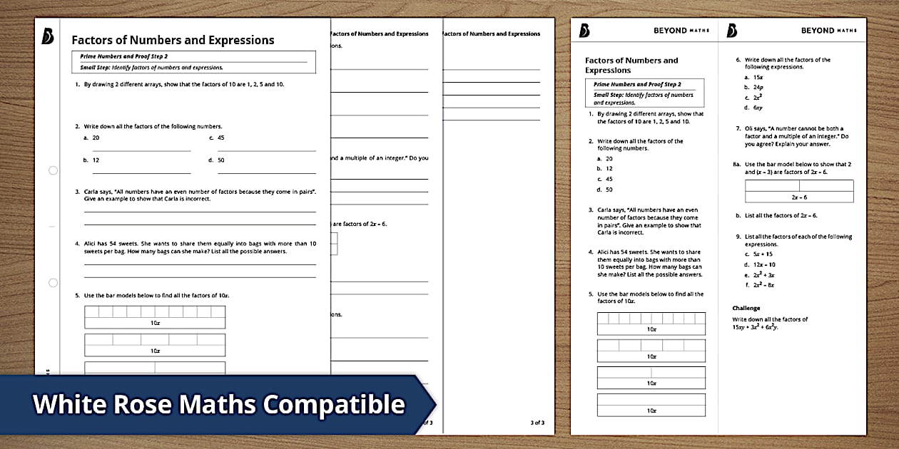 👉 Factors of Numbers and Expressions (teacher made)