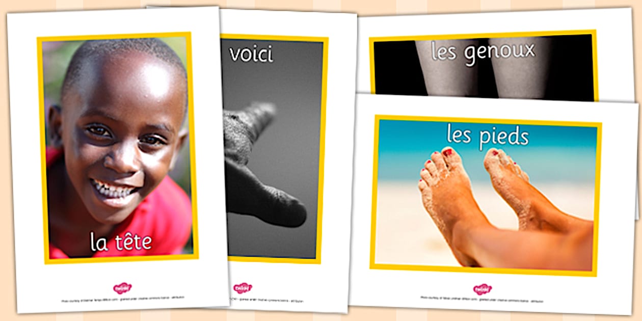 Cursive French My Body Display Photos (teacher made)