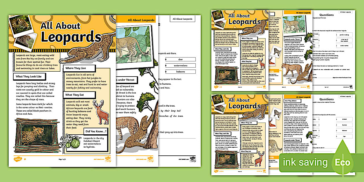 LKS2 All About Leopards Differentiated Reading Comprehension