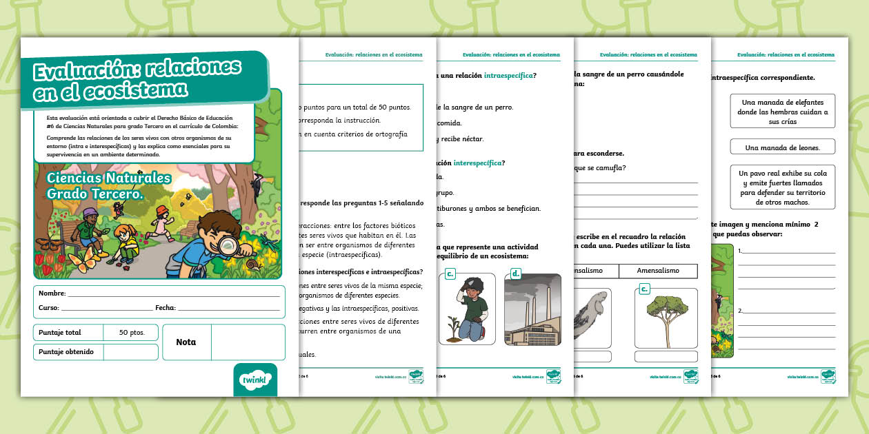 Guía de Evaluación Ecosistemas - Twinkl Colombia - Twinkl