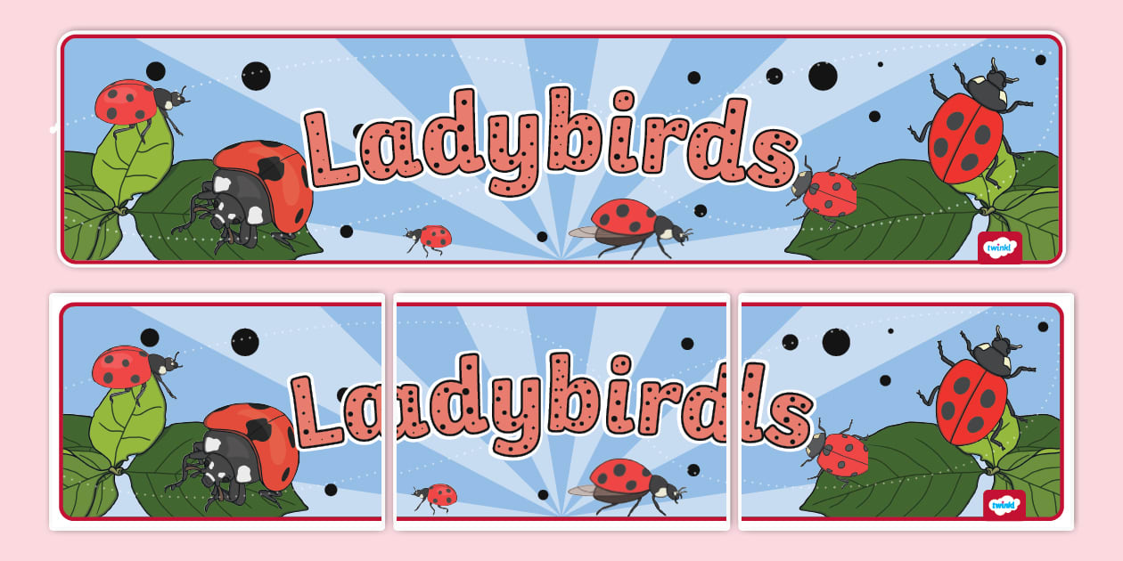 Ladybirds Display Banner (teacher made) - Twinkl