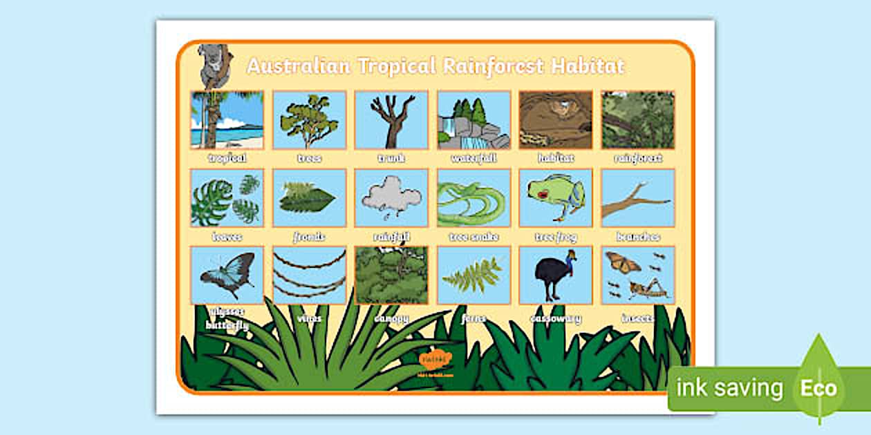 Editable Australian Tropical Rainforest Habitat Word Mat