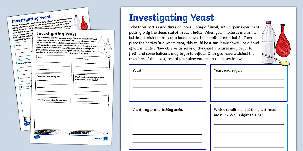 Investigating Yeast Worksheet (teacher made) - Twinkl