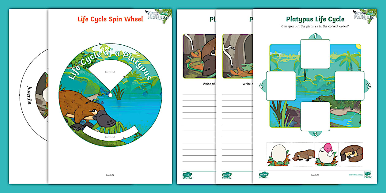 'Strong Little Platypus' | Life Cycle Activity Pack - Twinkl