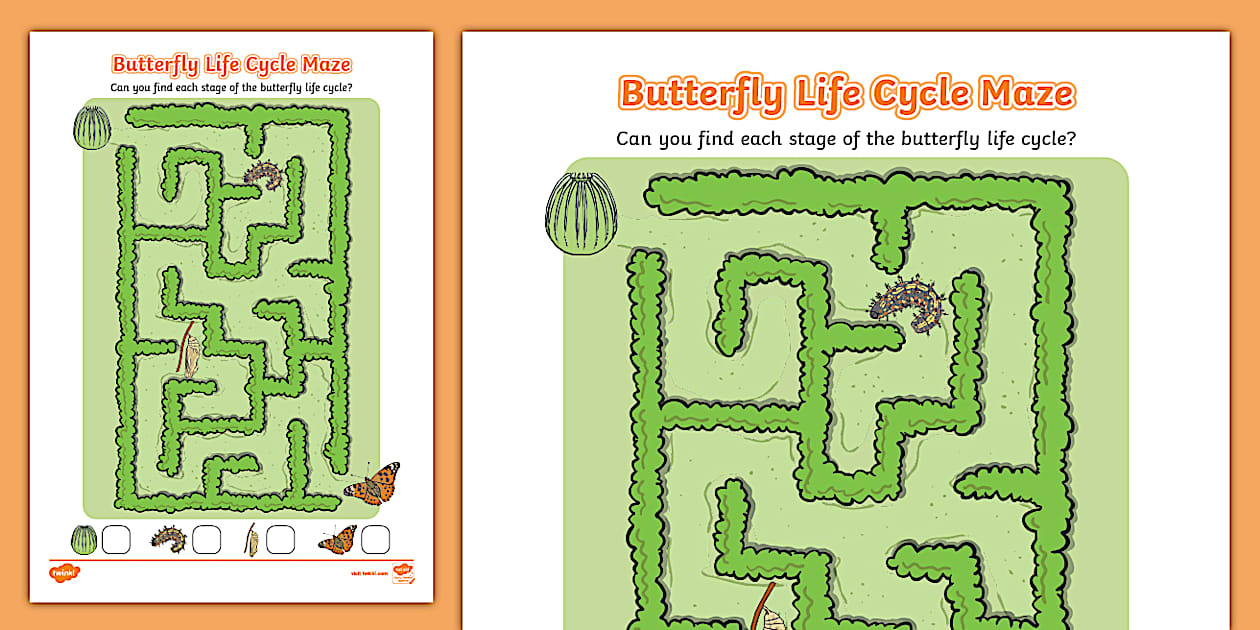 Butterfly Life Cycle Pencil Control Maze Activity | Twinkl