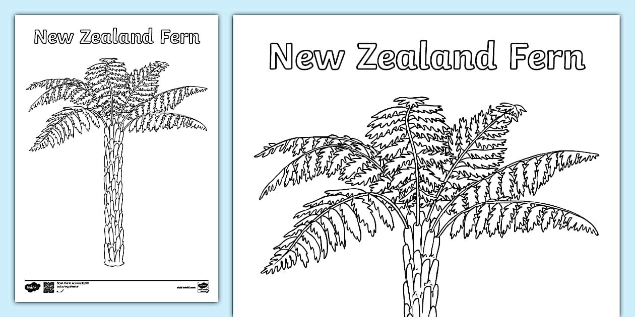 New Zealand Fern Colouring Sheet (teacher made) - Twinkl