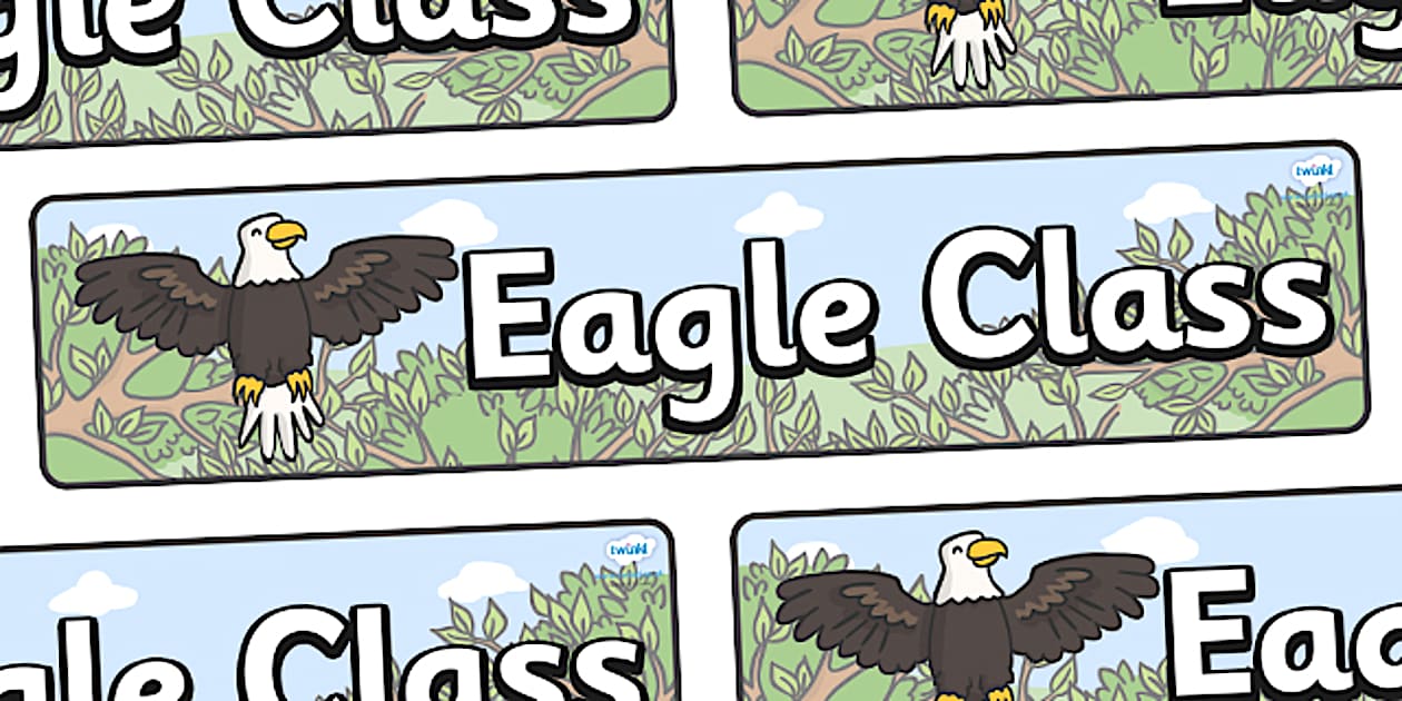 Eagle Themed Classroom Display Banner (teacher made)