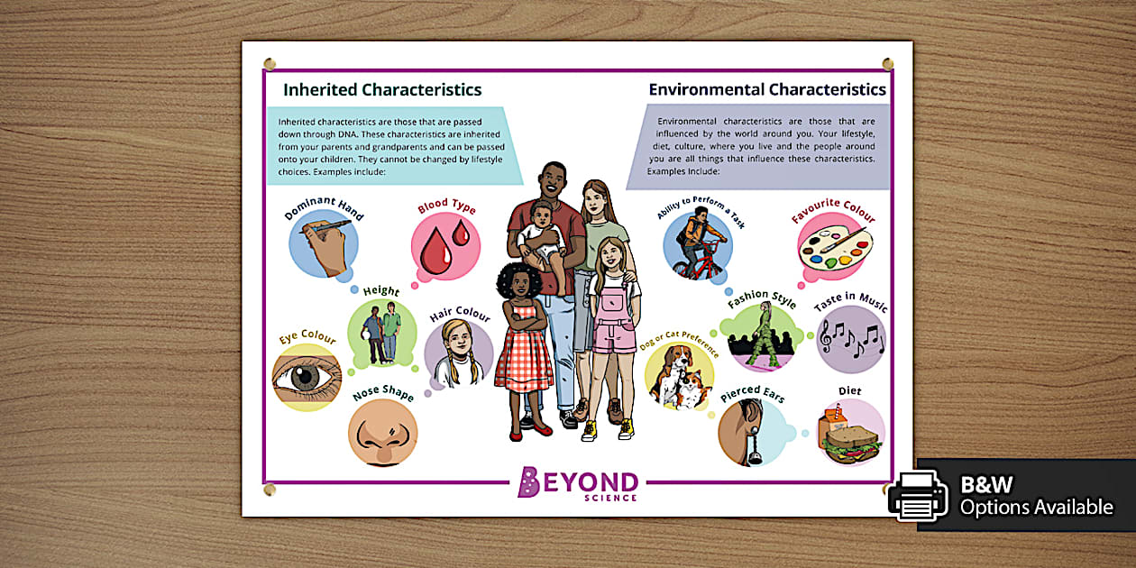 Inherited vs Environmental Characteristics Display Poster