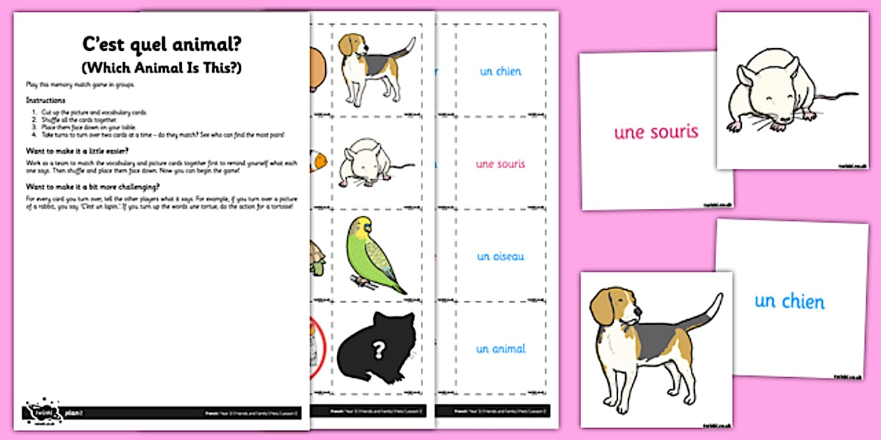 French Worksheet / Worksheet C'est Quel Animal - Twinkl