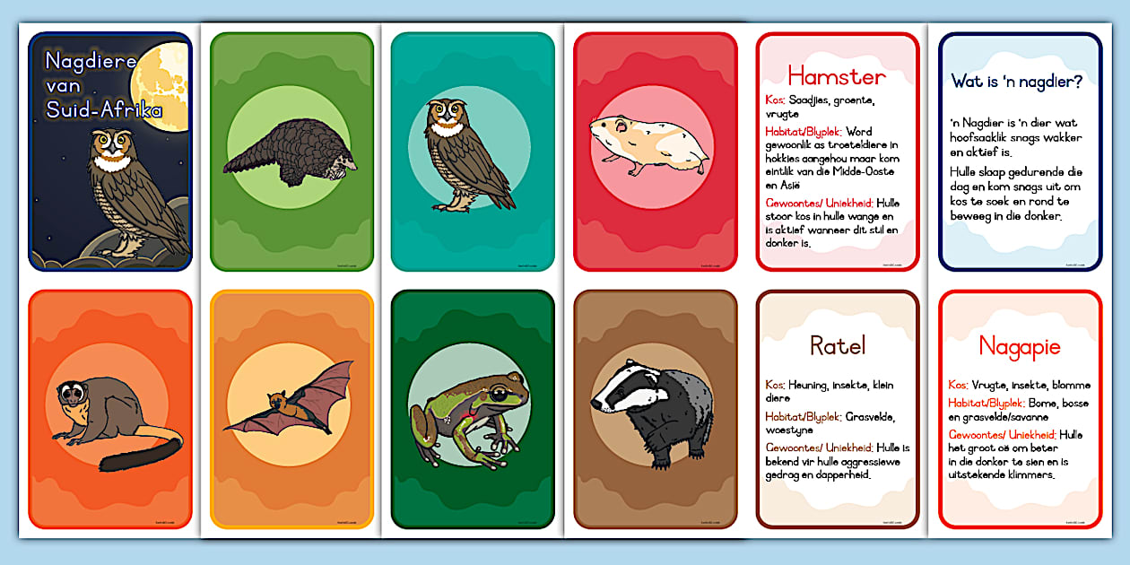 Nagdiere van Suid-Afrika. Paskaarte (teacher made) - Twinkl