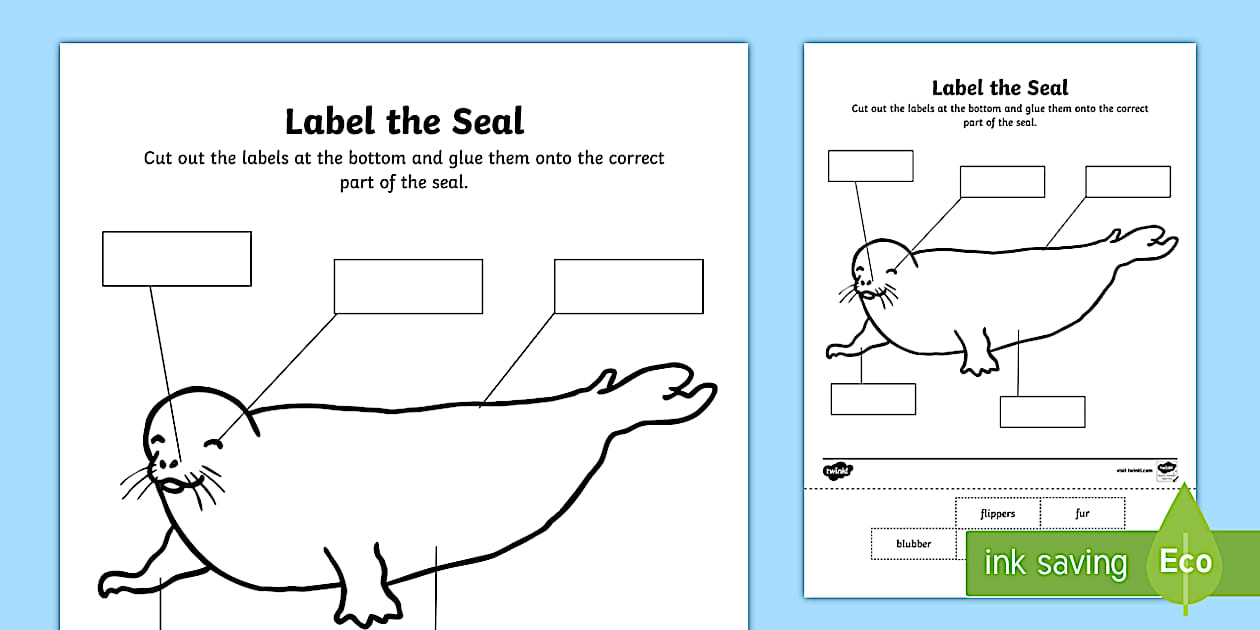 Label the Seal Worksheet / Worksheet (teacher made) - Twinkl