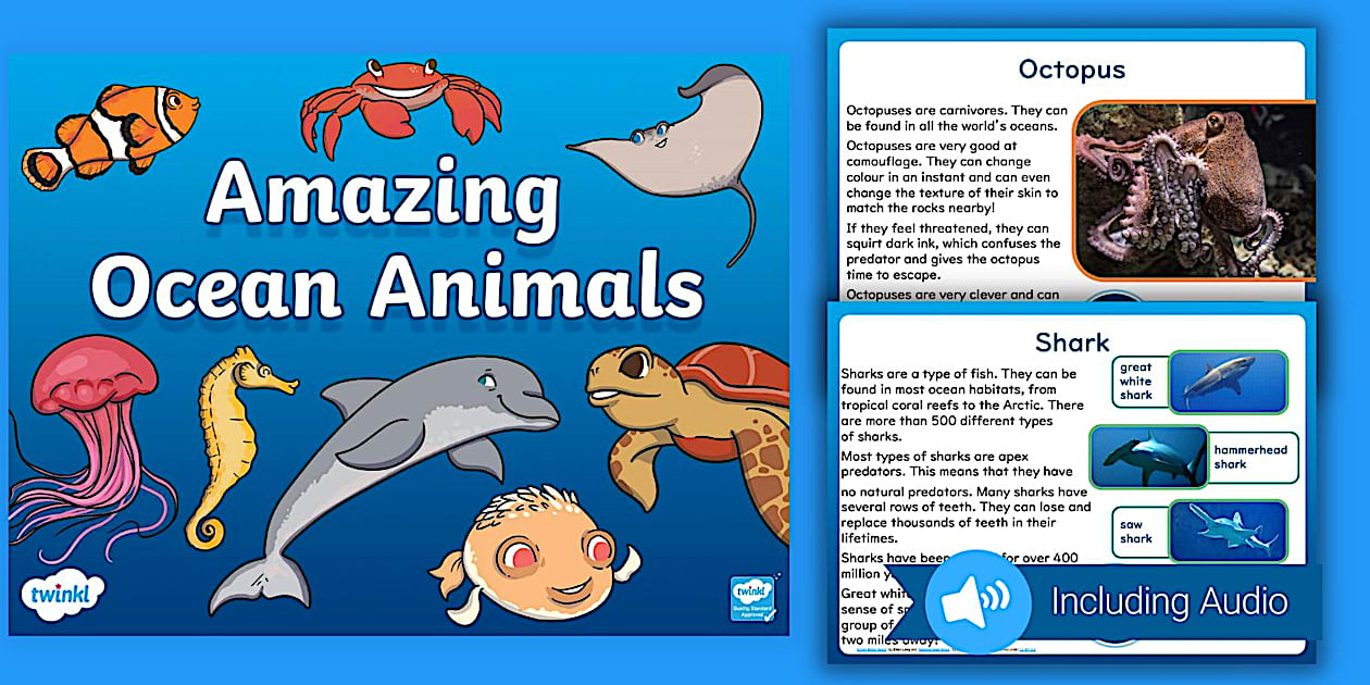【英語音声付き】海の生き物 Amazing Ocean Animals- English PowerPoint with Audio